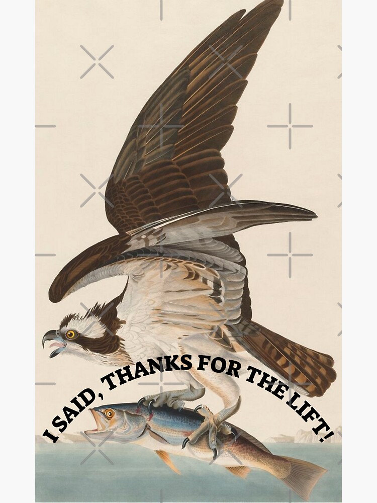 "THANKS FOR THE LIFT" Sticker for Sale by lefttowrite | Redbubble