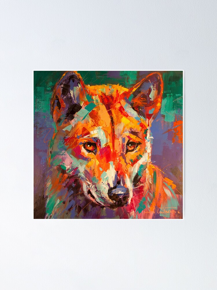 "Australian Dingo" Poster by joscoufreur | Redbubble