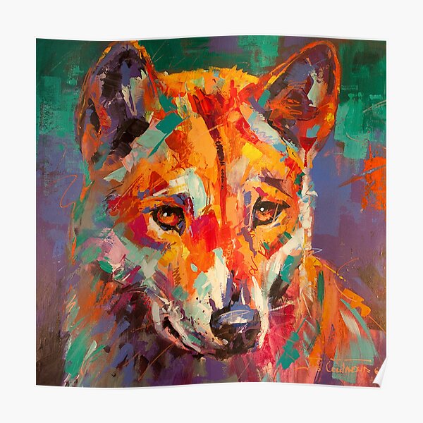 "Australian Dingo" Poster by joscoufreur | Redbubble