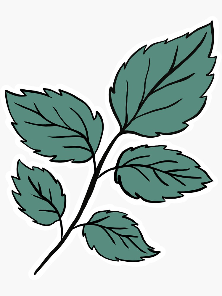 "Plain leaf design" Sticker for Sale by Sensilla | Redbubble