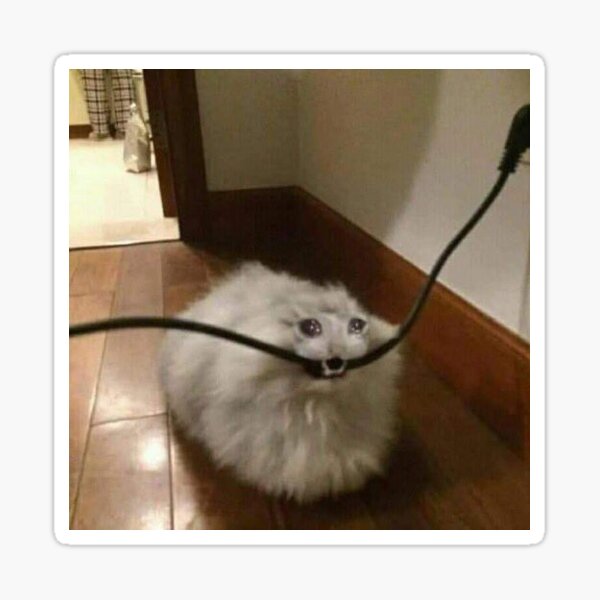 "Crying Cat Wire Meme" Sticker for Sale by RetroMelon | Redbubble