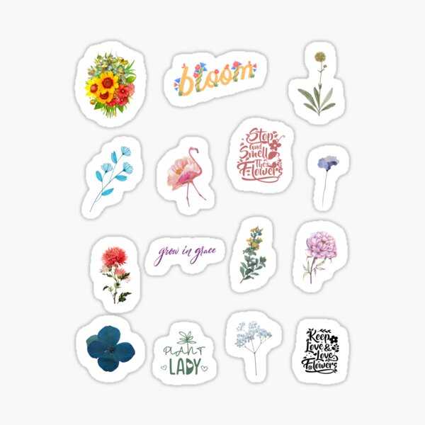 "Blooming Flower Quotes, Short Self Love Quotes And Pretty Flowers Set ...