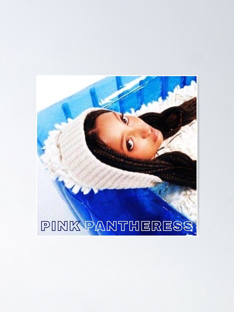 "Pink Pantheress - Willow and Pink Pantheress" Poster for Sale by ...