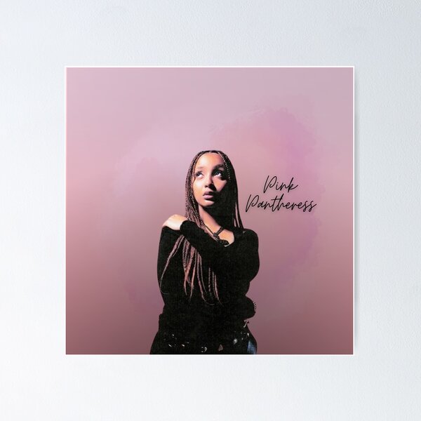 "Pink Pantheress Album Cover - To Hell With It - Hyperpop Girl" Poster ...