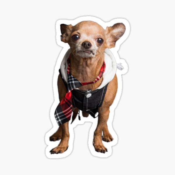 "Angry dog" Sticker for Sale by StickersForAlll | Redbubble