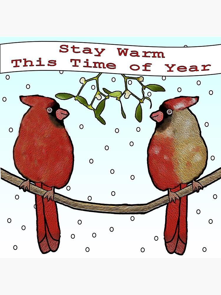 "Cardinal Love Stickers - Season's Greetings Winter Time - Male and ...