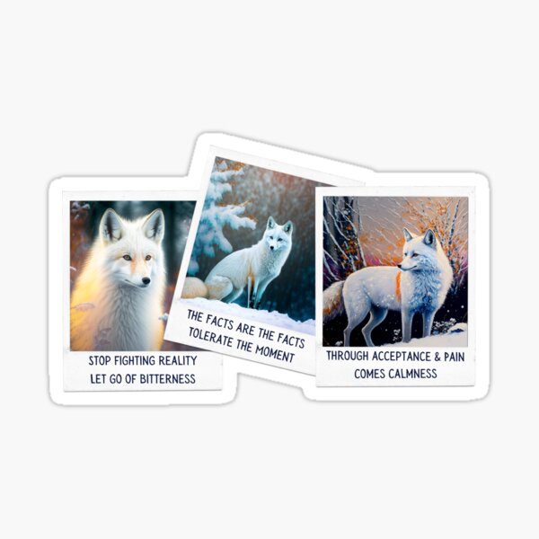 "Wise Fox reminder for Distress Tolerance DBT skills practice: Radical ...