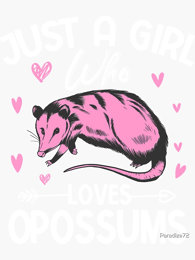 "Possum Possum Vintage Raccoon Skunk Sayings" Sticker for Sale by ...
