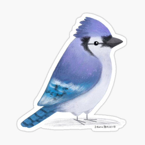 "Blue Jay Bird" Sticker for Sale by julianamotzko | Redbubble