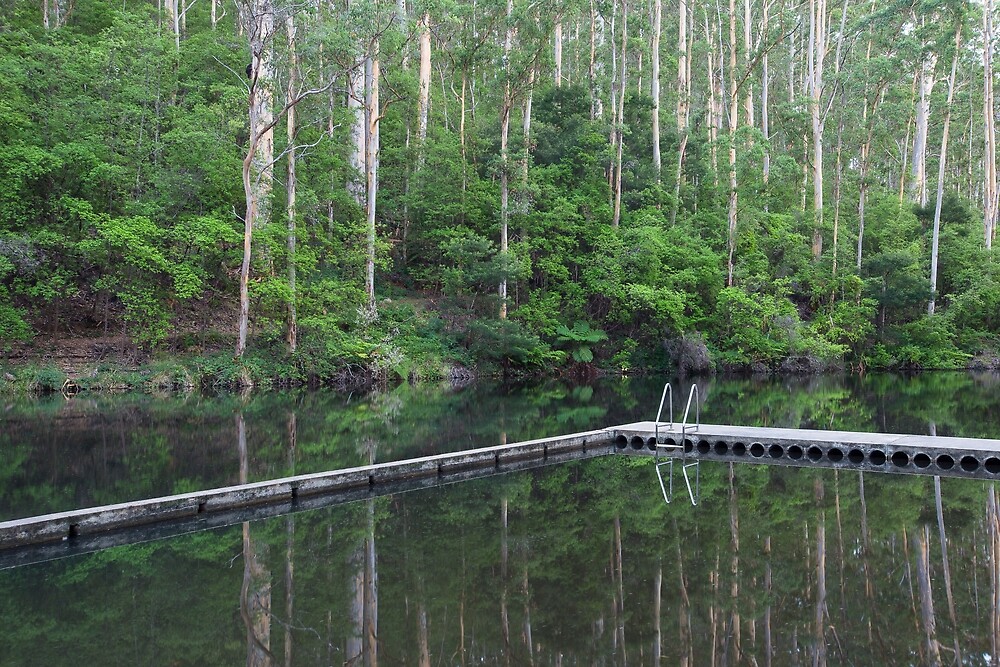 "Pemberton Swimming Pool" by Celine Dubois | Redbubble