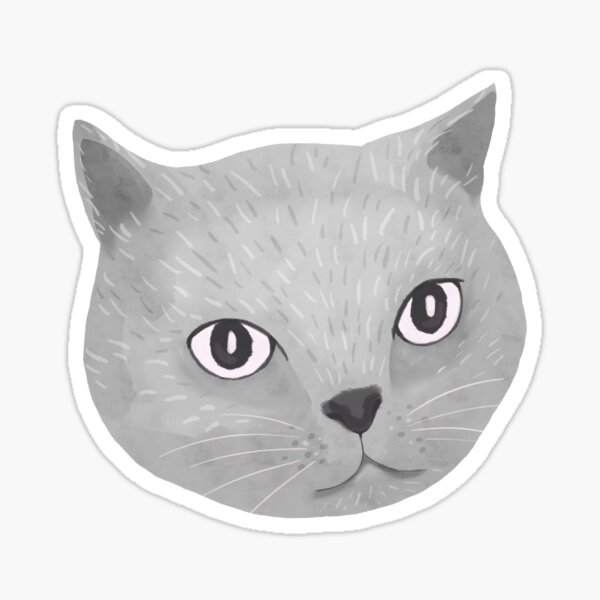 "Curious lovely cat's face." Sticker for Sale by somethinginmy | Redbubble