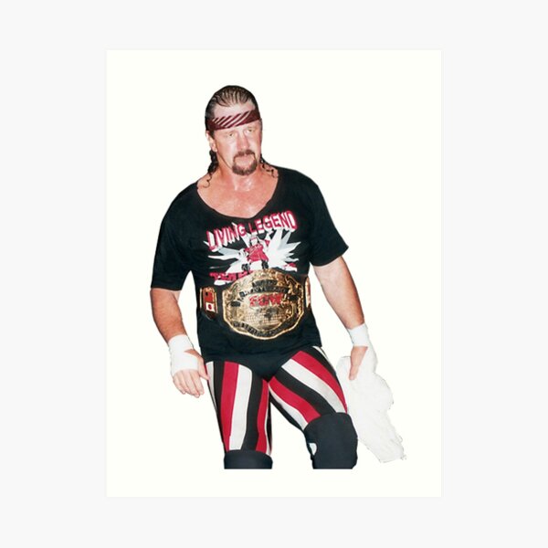 "WWE WWF WCW Terry Funk Old School Vintage Pro Wrestling" Art Print for ...