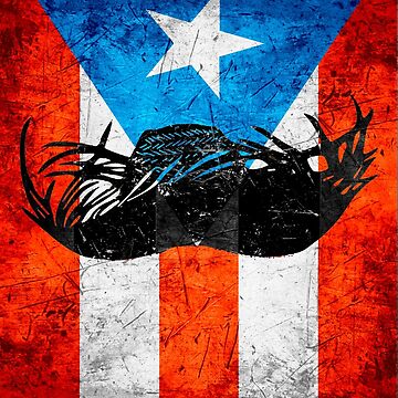 "La Pava puerto rican traditional had and flag" Poster for Sale by ...
