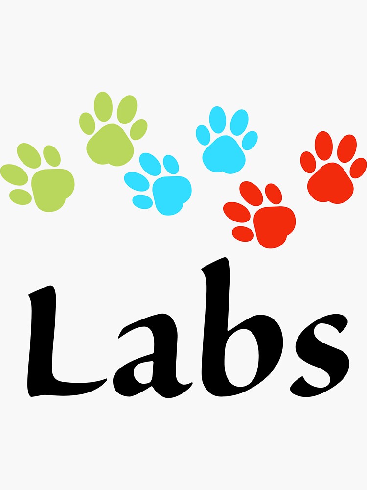 "Labrador paw prints. " Sticker for Sale by StandStrong786 | Redbubble