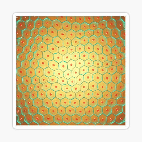 "Skin anatomy" Sticker for Sale by nobeastsofierce | Redbubble