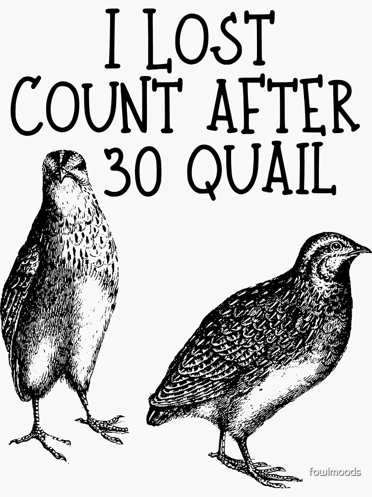 "Quail" Sticker for Sale by fowlmoods | Redbubble