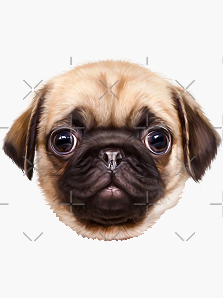 "PUG dog head" Sticker for Sale by designdog | Redbubble