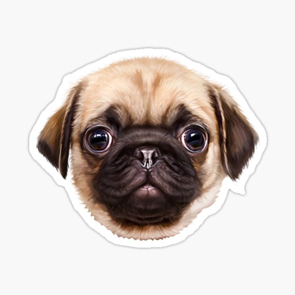 "PUG dog head" Sticker for Sale by designdog | Redbubble