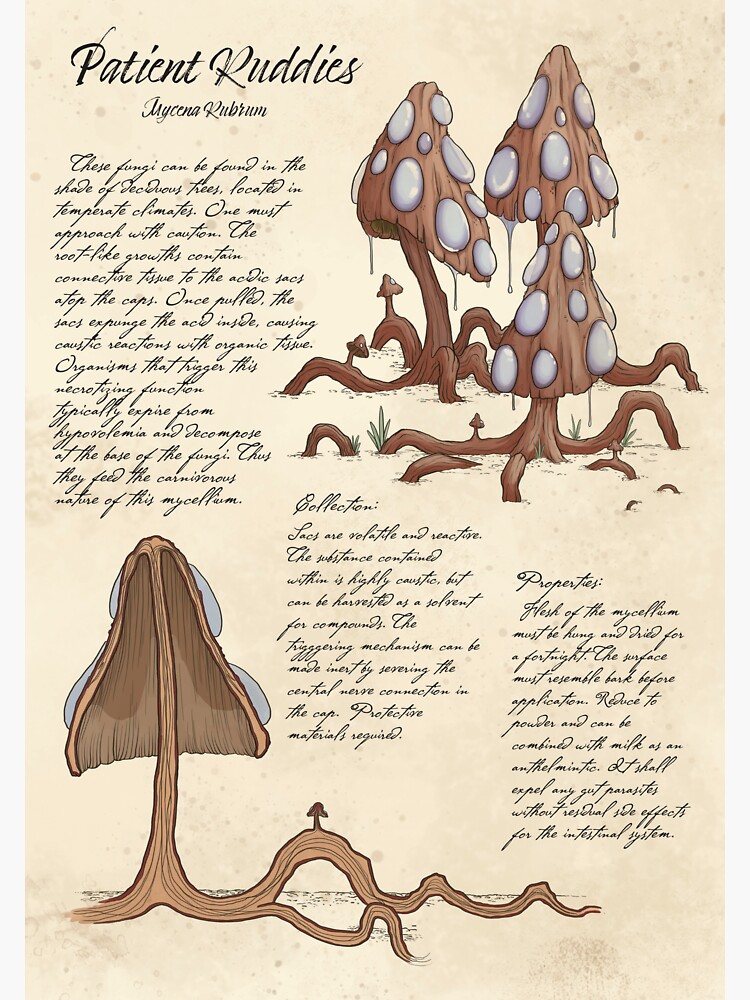 "Patient Ruddies Fantasy Journal Page" Sticker for Sale by ...