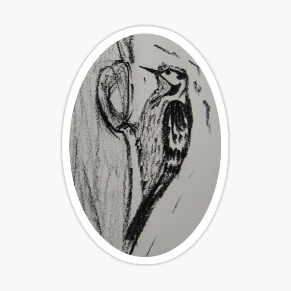 "Woodpecker" Sticker by PreetyYO | Redbubble