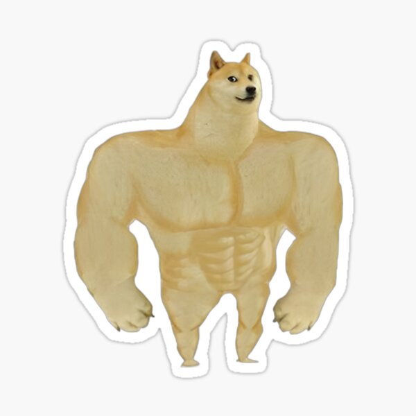 "Muscle Doge Shredded Chad Doge" Sticker for Sale by Memes44 | Redbubble
