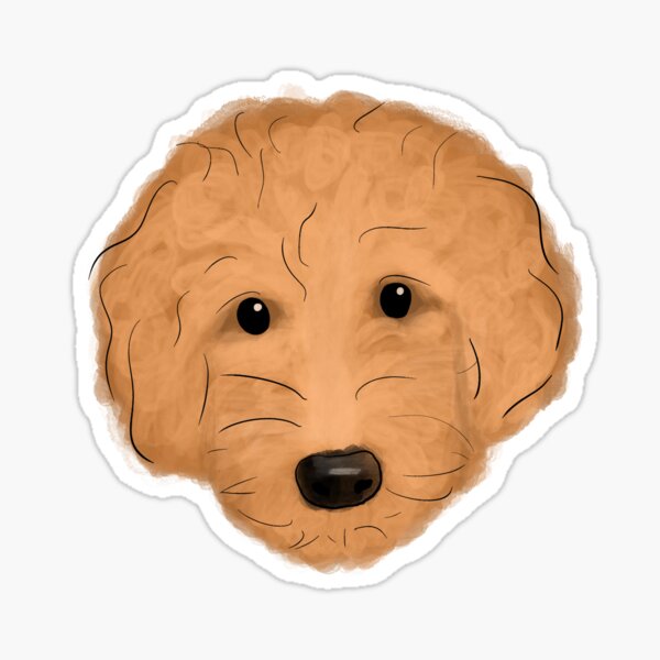 "Watercolor Goldendoodle Dog Face" Sticker for Sale by reagzz | Redbubble