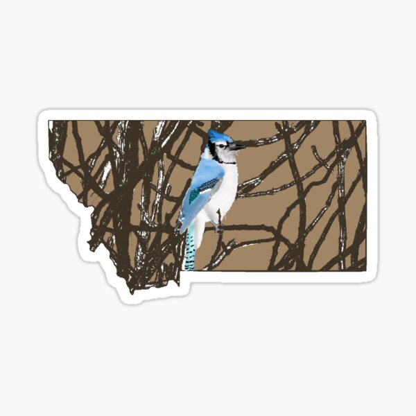 "Montana Blue Jay" Sticker for Sale by RadMomCreations | Redbubble
