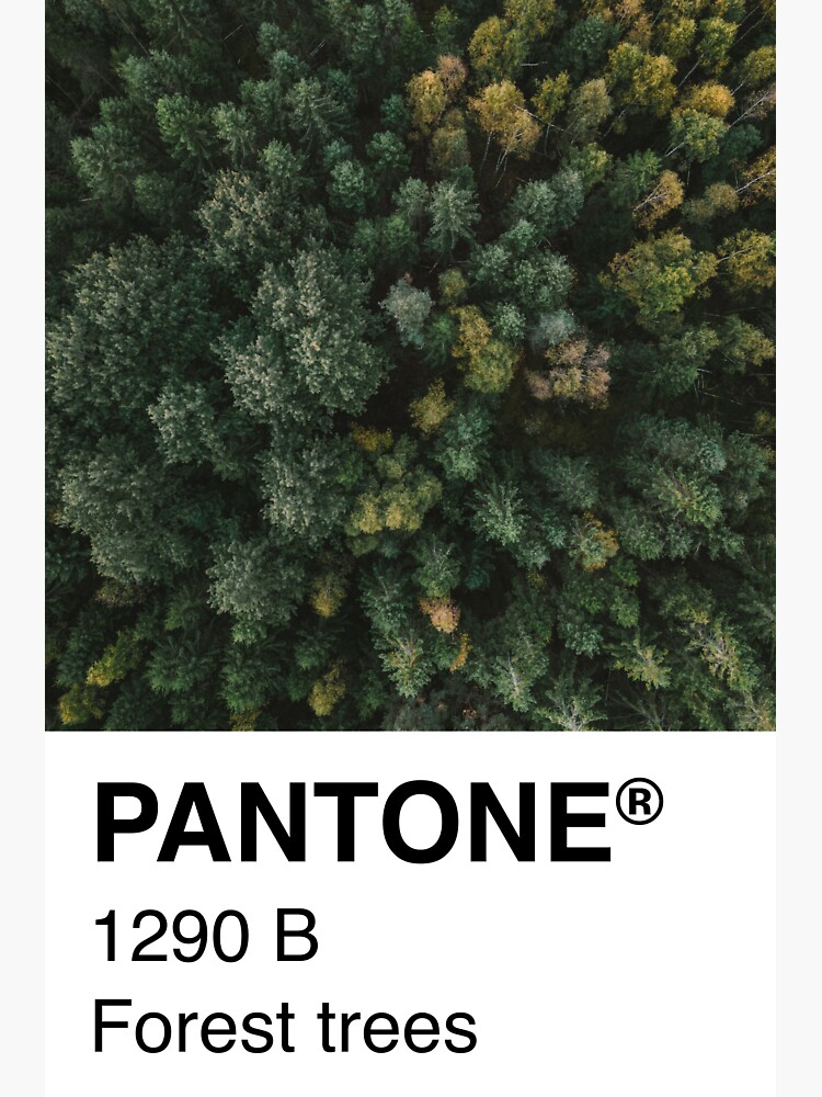 "Pantone - forest trees" Sticker for Sale by Keneges-Design | Redbubble