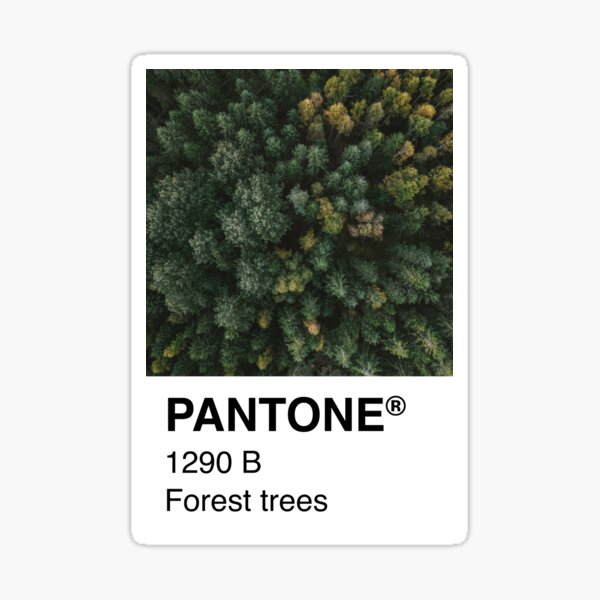 "Pantone - forest trees" Sticker for Sale by Keneges-Design | Redbubble