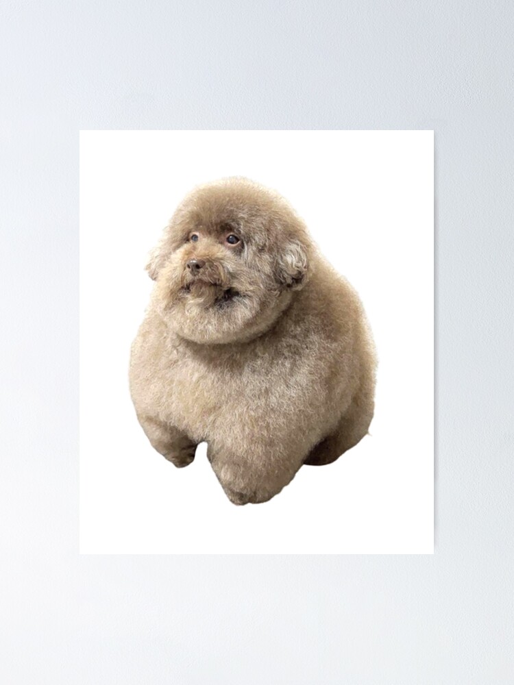 "Scoobert and churchill " Poster for Sale by yourSTORE28 | Redbubble