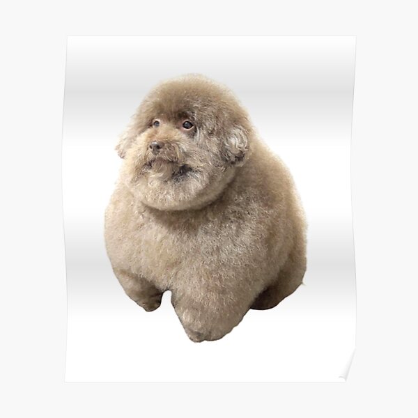 "Scoobert and churchill " Poster for Sale by yourSTORE28 | Redbubble