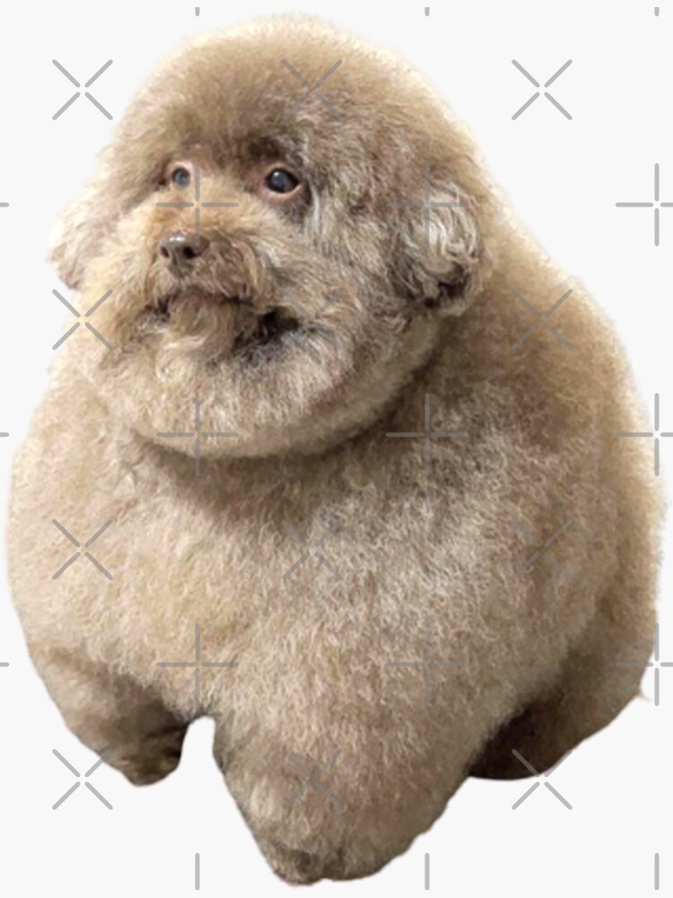 "Scoobert and churchill " Sticker for Sale by yourSTORE28 | Redbubble