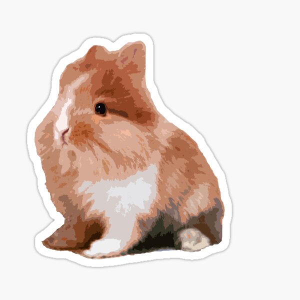 "Cute Furry Brown Orange Lionhead Rabbit Loves You" Sticker for Sale by ...