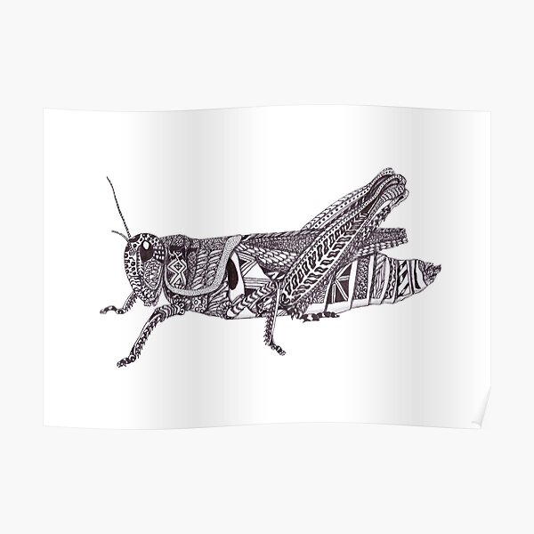 "locust" Poster for Sale by Au-artistique | Redbubble