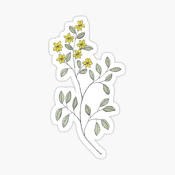 Jasmine Flower Stickers | Redbubble