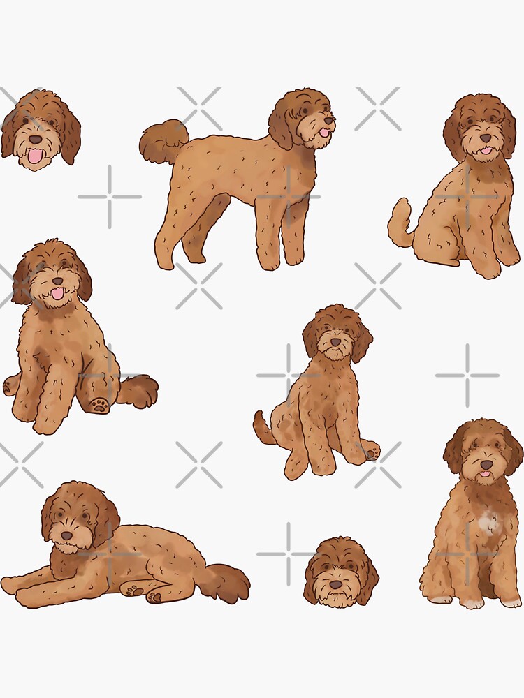 "Labradoodle cute illustration pack" Sticker for Sale by Yarafantasyart ...