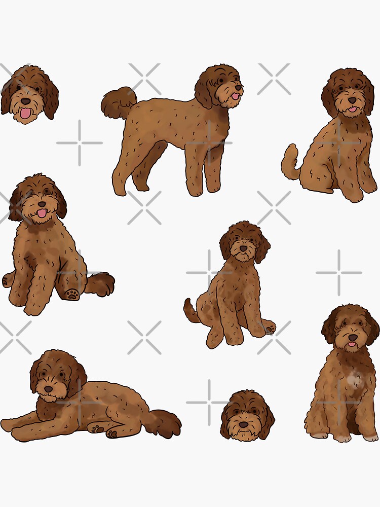"Chocolate Labradoodle cute illustration pack" Sticker for Sale by ...