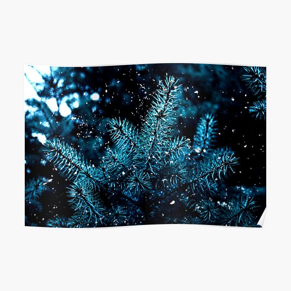 "snowflakes" Poster for Sale by Gabrich1 | Redbubble
