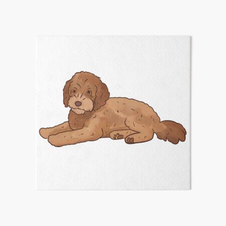 "Cartoon labradoodle illustration" Art Board Print for Sale by ...