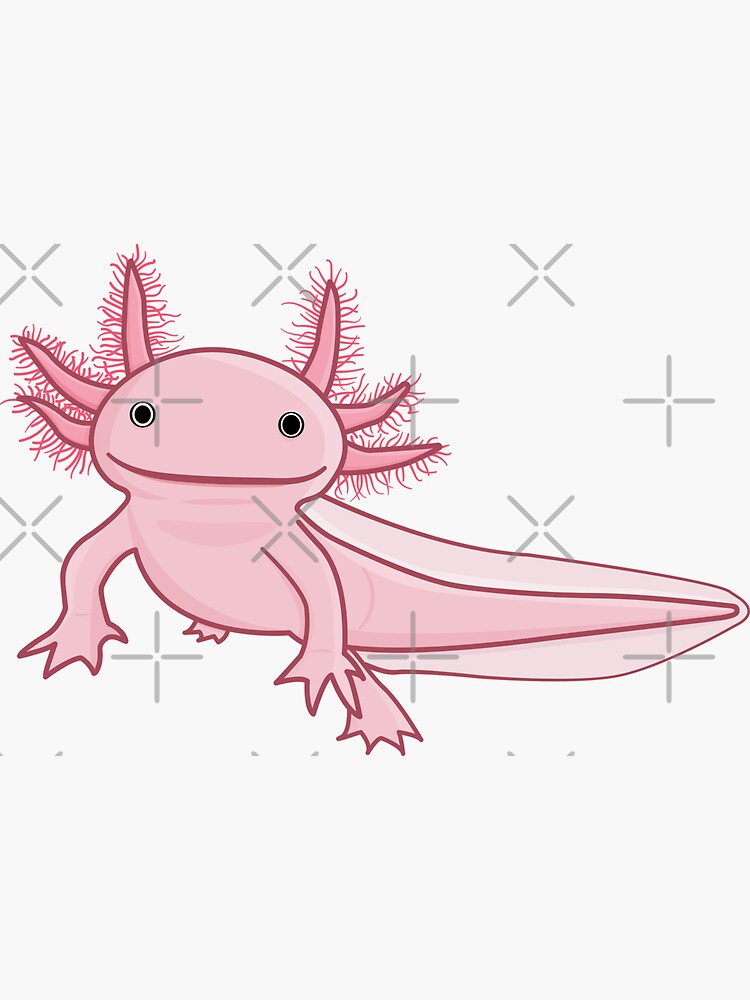 "Cute Axolotl Smiling" Sticker for Sale by ShexxarDesigns | Redbubble