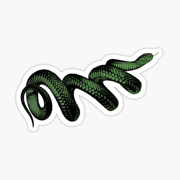 "Coiled Snake" Sticker for Sale by Reethes | Redbubble