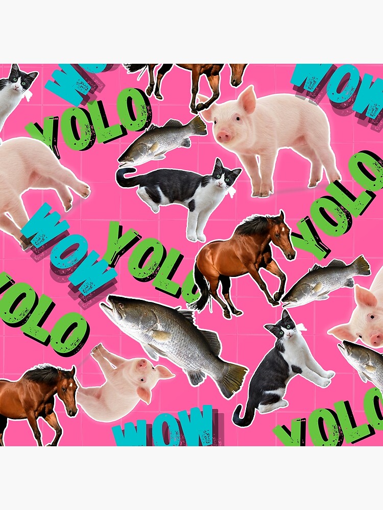 "YOLO Animals WOW" Poster for Sale by Kajleq | Redbubble