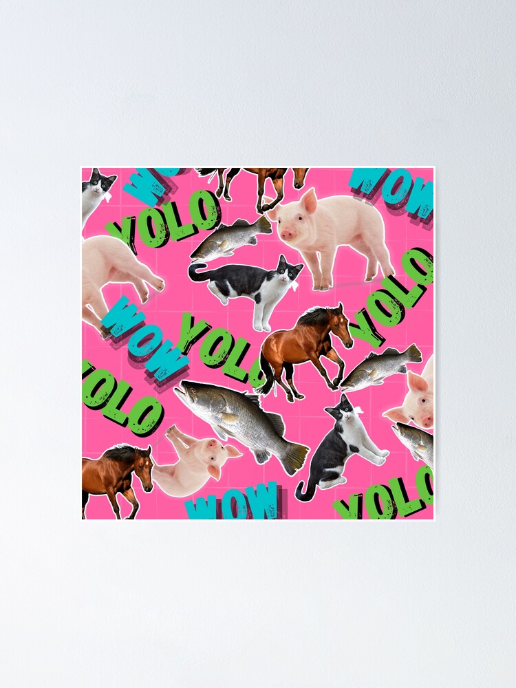 "YOLO Animals WOW" Poster for Sale by Kajleq | Redbubble