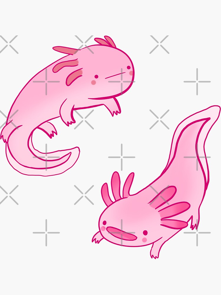 "Two axolotls drawing" Sticker for Sale by Mayarart | Redbubble