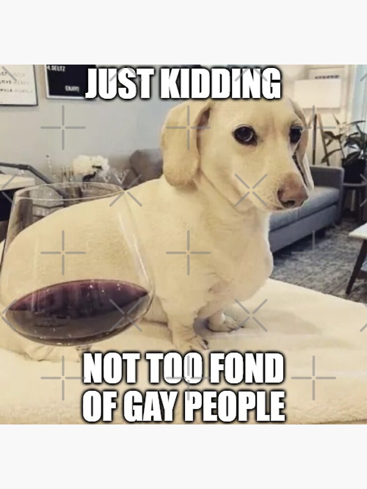 "Not Too Fond of Gay People Homophobic Dog Meme Gif Funny " Sticker for ...