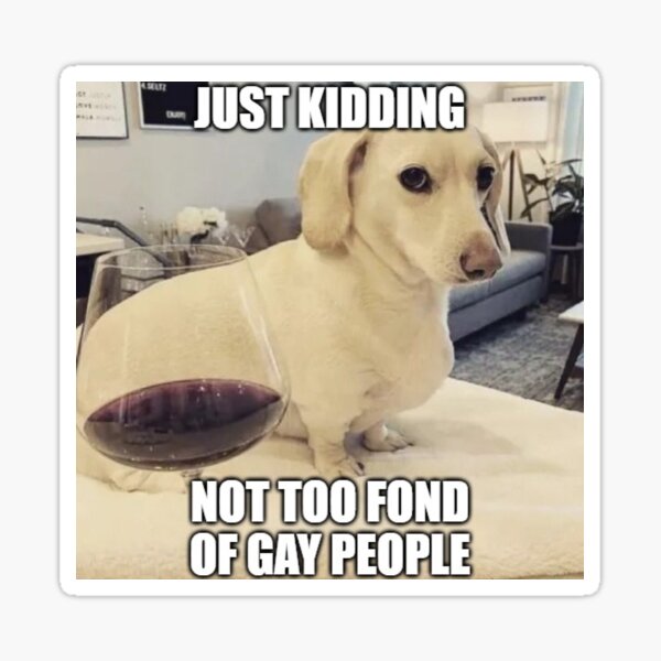 "Not Too Fond of Gay People Homophobic Dog Meme Gif Funny " Sticker for ...