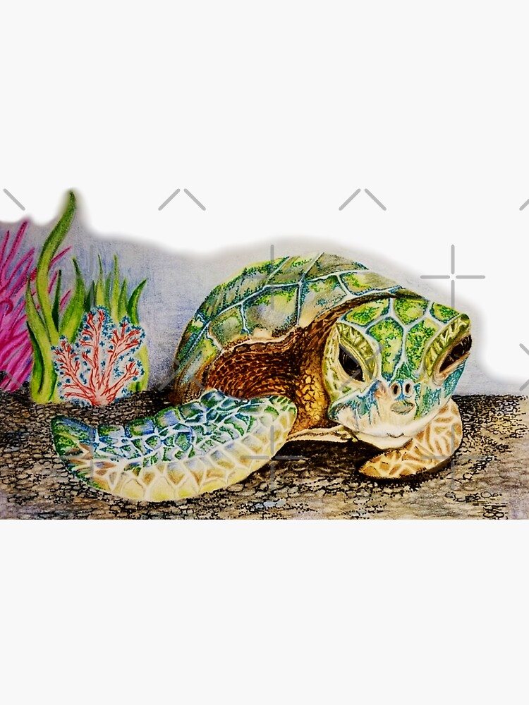 "Colorful sea Turtle" Sticker for Sale by RadMomCreations | Redbubble