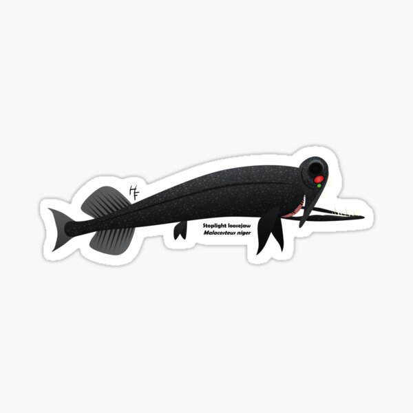 "Team Submarine Stoplight Loosejaw (Malacosteus niger)" Sticker for ...