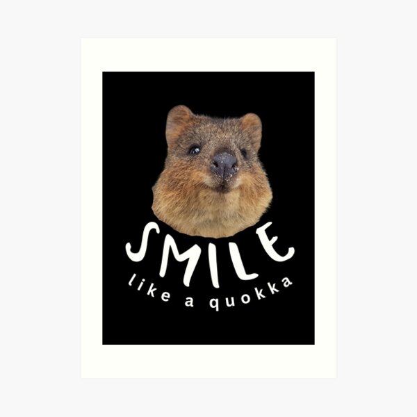 "Smile like a quokka. Happy little creature. Rottnest Island Rotto ...