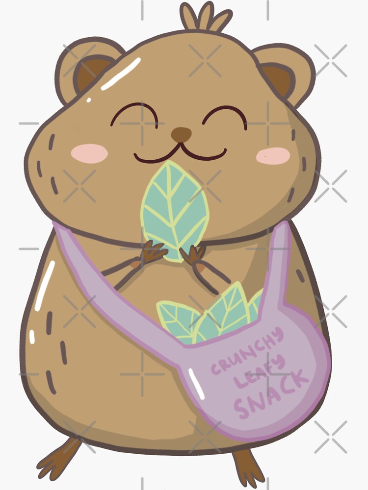 "Cute Quokka eating leaf snacks." Sticker for Sale by lianataj | Redbubble